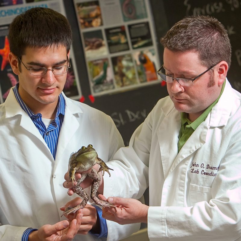 Degree Requirements and Courses · Biology · Lafayette College