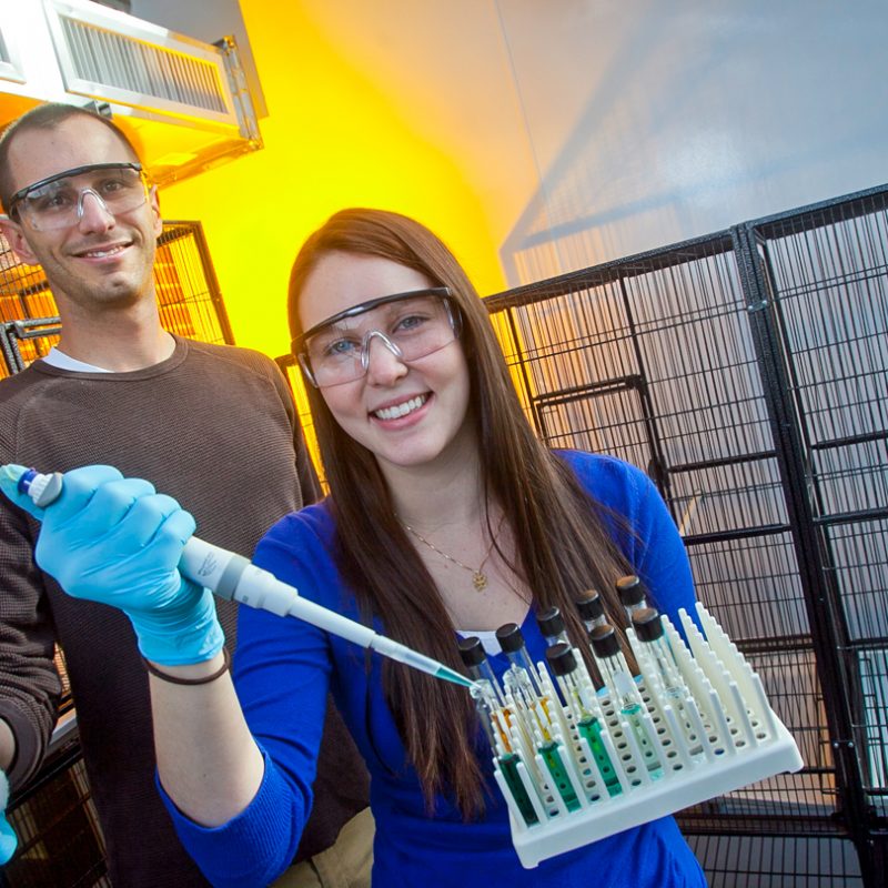 Undergraduate Research · Biology · Lafayette College